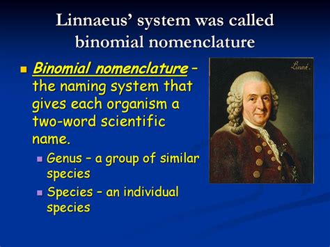 Classification Ppt Download