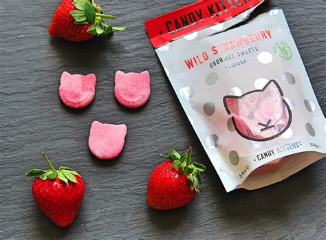 Candy Kittens X Your Apartment Sweet Surprises Your Apartment