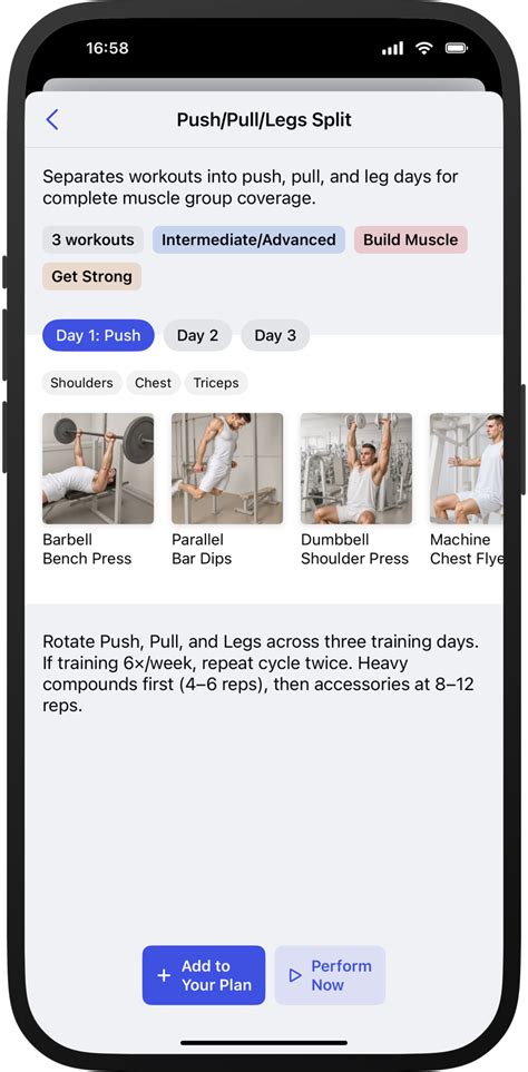 Gymfile Track Workouts Build Muscles