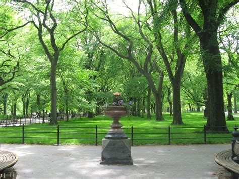 Photo Entry Splendor And The Grass