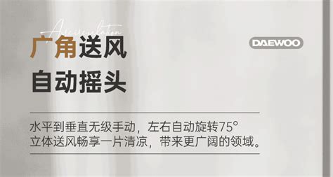 Dy Xf01、dy Xf01j电风扇 电风扇 大宇daewoo官网 专注精品生活家电