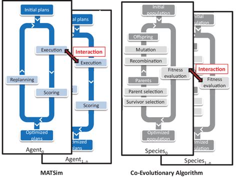 4 The Co Evolutionary Algorithm In Matsim Download Scientific Diagram