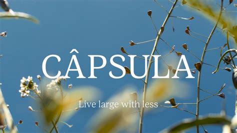 Pieternel Kroes On Linkedin CÂpsula Soft Lodge To Be Launched At Dutch