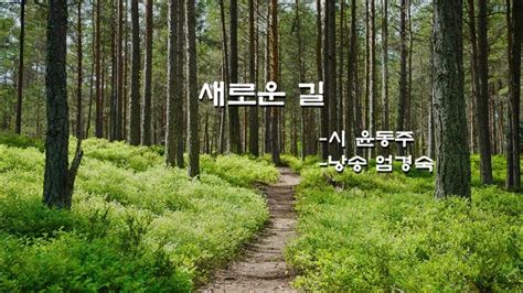 새로운길 윤동주 낭송 엄경숙 Youtube