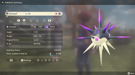 Pokemon Legends Arceus How To Evolve Qwilfish To Overqwil Rpg Site
