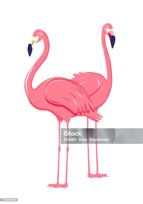 핑크 플라밍고 두 마리 흰색 배경에 귀엽고 아름다운 플랫 핑크 플라밍고 인쇄를 위한 여름 디자인 어린이 그림 티셔츠 디자인