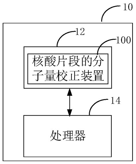 Molecular Weight Correction Method And Apparatus For DNA Fragment