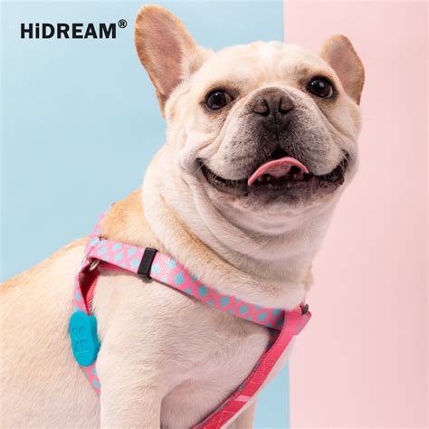 【hidream】繽紛系列 寵物y型胸背帶 寵物外出 狗狗外出 胸背帶 防掙脫 胸背 舒適 狗背帶 防暴衝 不勒 蝦皮購物