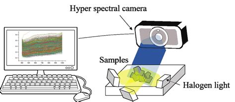 Hyperspectral Data Can Show On Computer Download Scientific Diagram