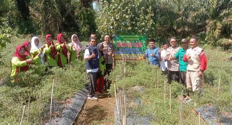 Sukseskan Ketahanan Pangan Pemdes Marga Jaya Gelar Bimtek Bawang Merah