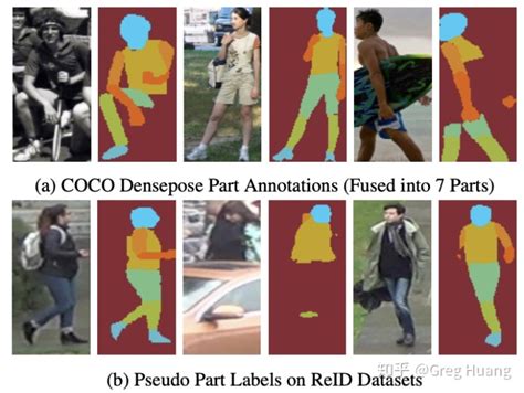 Reid中pcb模型输出维度arxiv1812增强跨域行人重识别中的部件对齐 Csdn博客