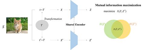 explicit mutual information maximization for self supervised learning