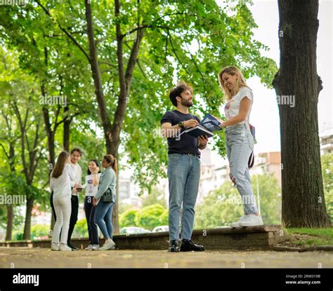 Lovely University Babes Helping Each Other Before Exam While Standing On A Pavement In The