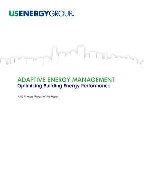 Adaptive Energy Management US Energy Group