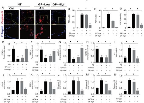 Figure 1 From Targeting Mitochondria By Lipid Selenium Conjugate Drug