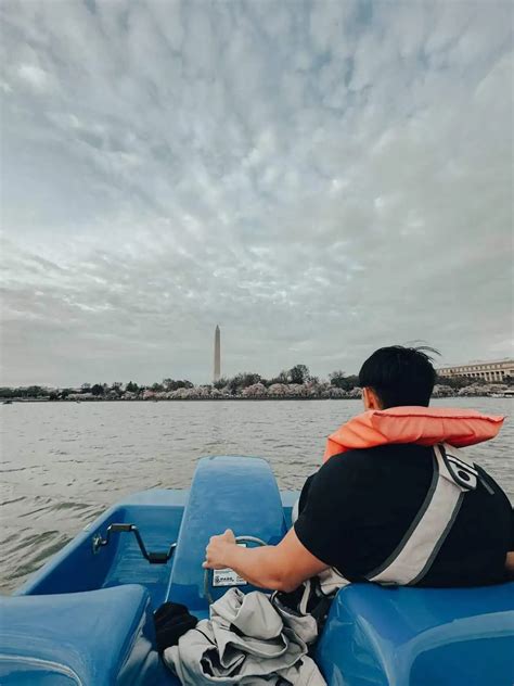 Tidal Basin Paddle Boats The Best View Of Dc