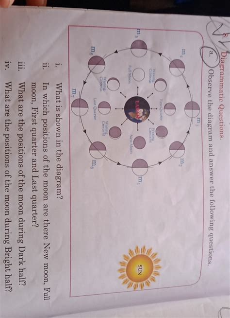 8 Diagrammatic Questions A Observe The Diagram And Answer The Followin