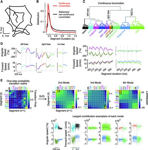 distinct regular dynamics and specific transitions define the structure download scientific
