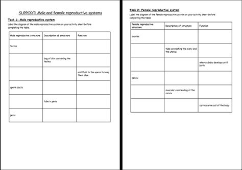 Reproductive System Quiz Ks At Sherlyn Weyer Blog