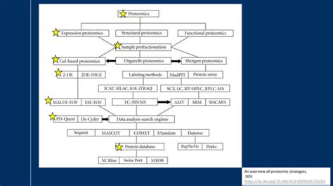 Proteomic Analysis Of The Serum And Excretory Secretary Proteins Of