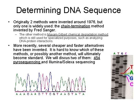 DNA Sequencing Determining DNA Sequence Originally Methods