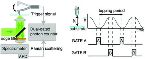 Schematic Of The Dual Gating Photon Counting Scheme For A Tip Enhanced