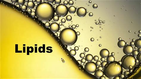 Lipids Part 1 Youtube