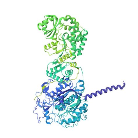 Rcsb Pdb 7s6c Cryoem Structure Of Modular Pks Holo Lsd14 Stalled At The Condensation Step And