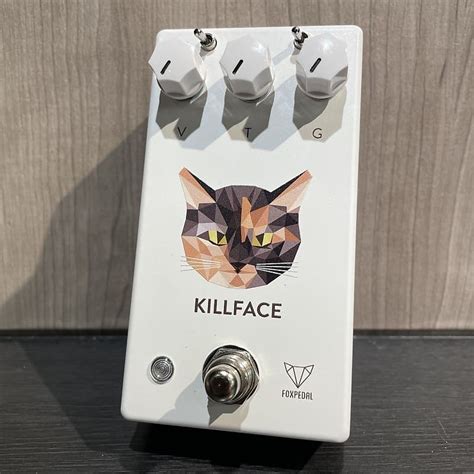 Unknown Used Foxpedal Killface V2 Reverb