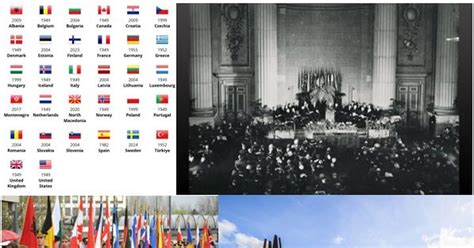 Një Ditëlindje E Trazuar Për Nato N Blog