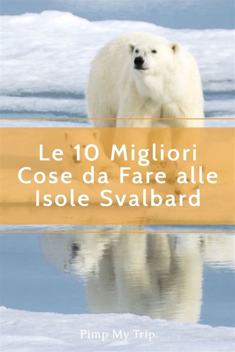 Le 10 Migliori Cose Da Fare Alle Isole Svalbard Artofit