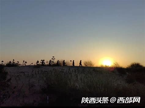 榆阳补浪河女子民兵治沙连：扎根大漠近50载 誓让荒漠变绿洲 陕西头条客户端