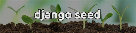 migration and seeding in django medium