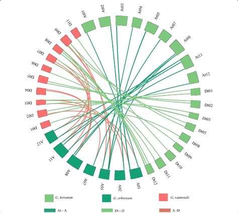 Collinearity Analysis Of Mapk Genes In Cotton Dark Green G Arboreum