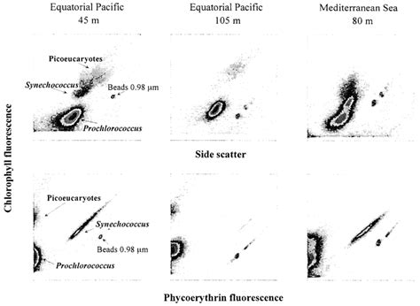 Analysis Of Natural Prochlorococcus Populations By Flow Cytometry