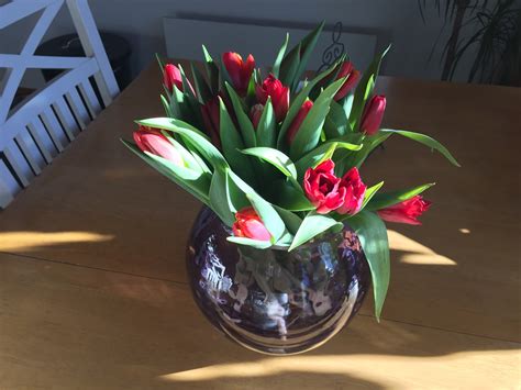 Gunans värld Med en enkel tulipan