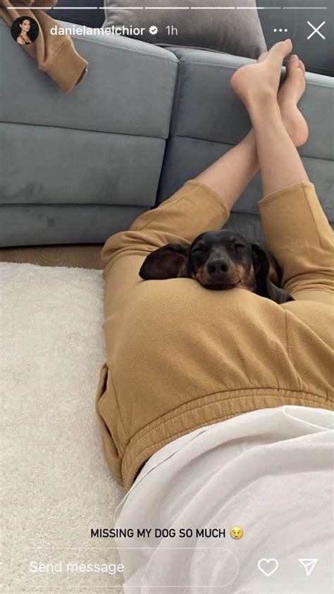 Daniela Melchior Rcelebritysoles