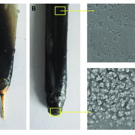 Dsc Spectrum Of Pet Download Scientific Diagram
