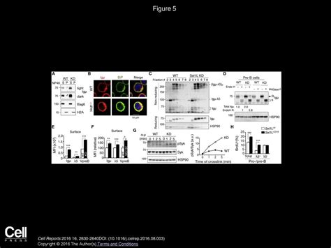 Volume 16 Issue 10 Pages September 2016 Ppt Download