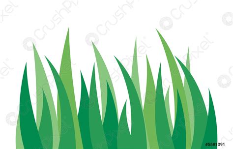 Grass Field Banner Vector Illustration Stock Vector 5581091 Crushpixel