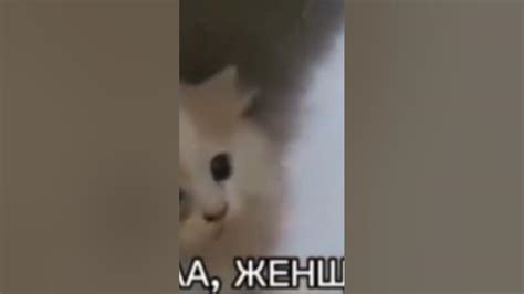 Когда сидел за компом и в комнату зашла мама Youtube