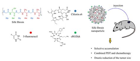 Silk Fibroin Nanoparticles Conjugated With Chlorin E6 Crgdyk And