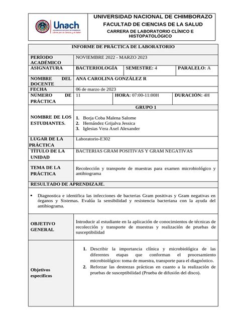 Práctica Antibiograma Pdf