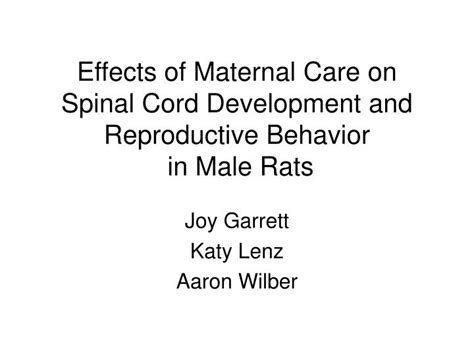 Ppt Effects Of Maternal Care On Spinal Cord Development And