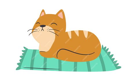 Premium Vector Cat Lying On Mat