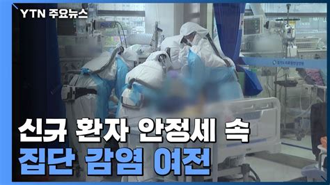 신규 환자 안정세 속 집단 감염 여전핼러윈 데이 비상 Ytn Youtube