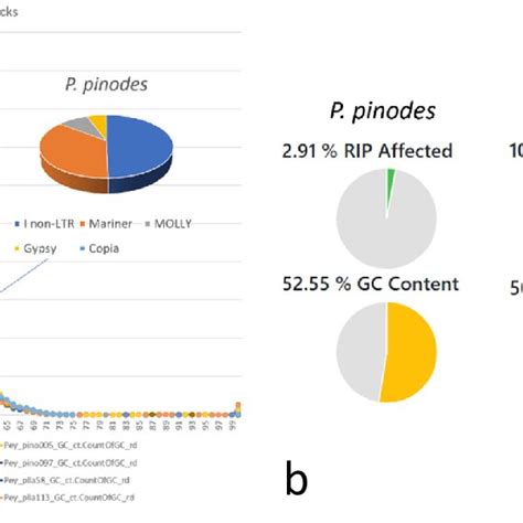 Repeat Analysis A Gc Content Variation Among Ab Species With The