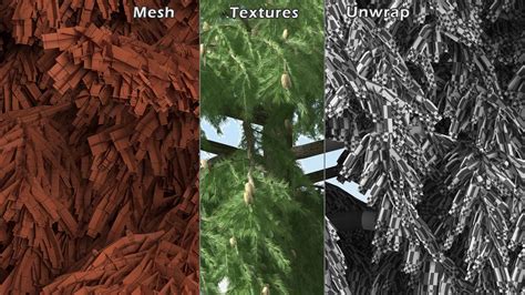 Evergreen Trees Collection 2 3d Model 99 3ds Obj Max C4d Ma