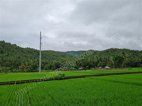Appreciating The Natural Beauty Of Sorsogon City Sorsogon City