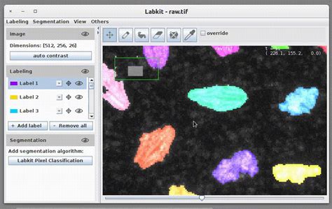 Labkit Improves Support For Segmentation Ground Truth Editing Preview Announcements Image